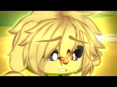 ️ •[ cuando muera regresare como una mariposa...]•🦋🌸 Meme GC (a mi ...