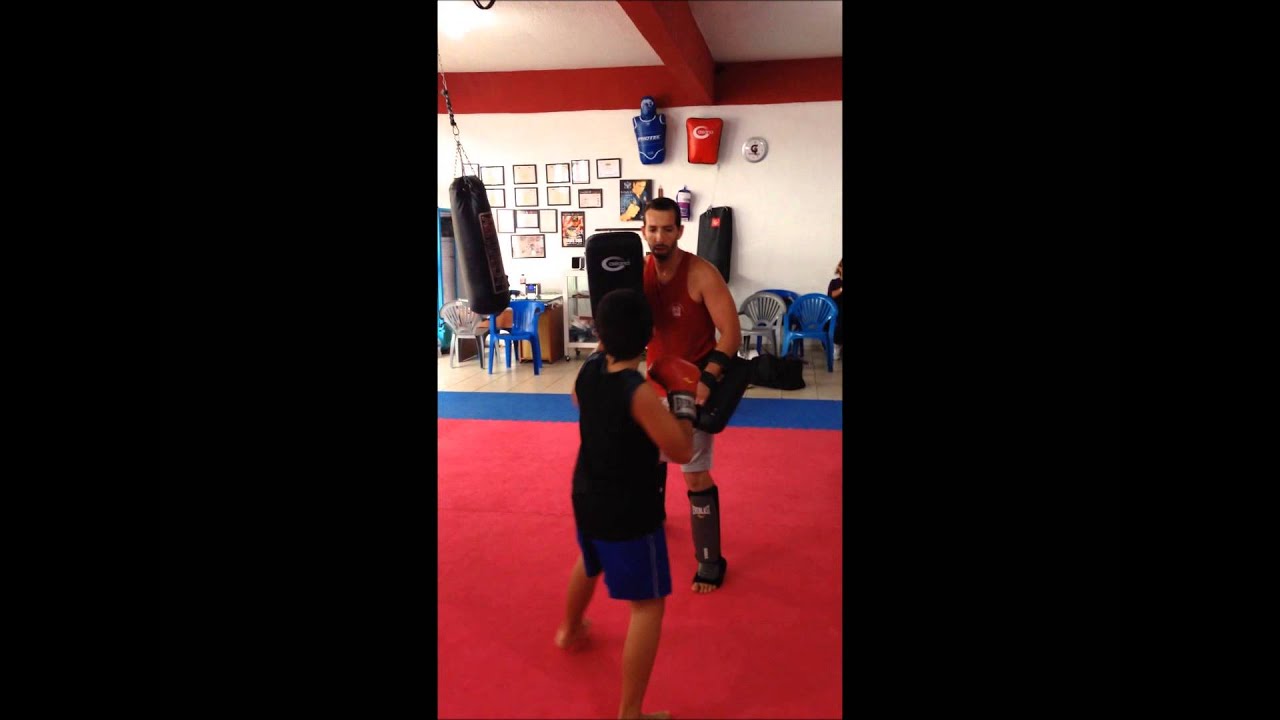 steve pads - YouTube