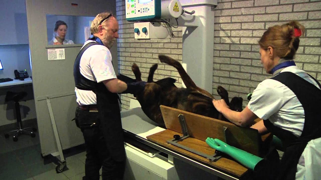 Hopmans Röntgen HD - YouTube