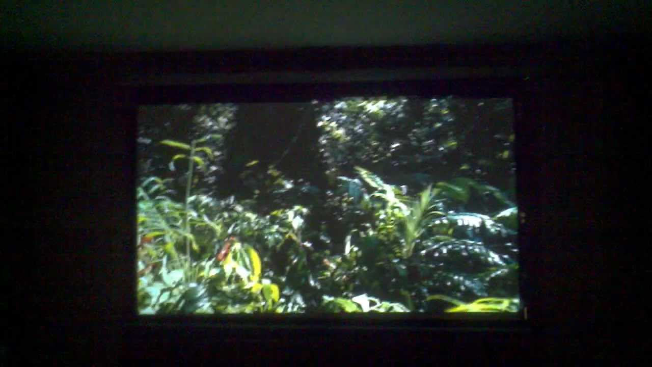 MOTORIZED CEILING PROJECTOR SCREEN WITH EPSON 3D PROJECTOR W/ HT SET UP ...