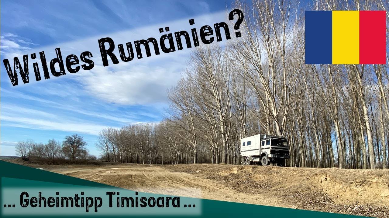 Verliebt in Rumänien | Unser eigenes Hunderudel am Donaustrand Plaja ...