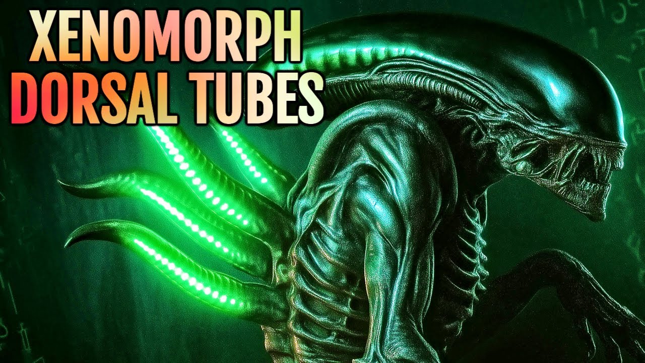 Why Do Xenomorphs Have Those Weird Dorsal Tubes? The Secret Alien ...