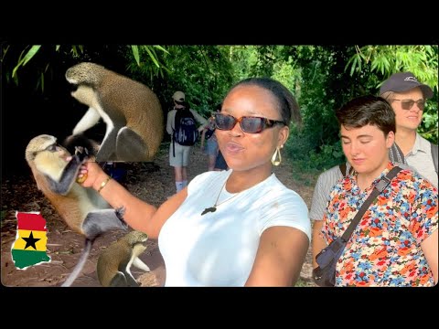 GHANA | TAFI ATOME MONKEY SANCTUARY | MOST POPULAR TOURIST ATTRACTION ...