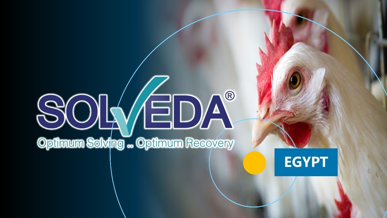 Solveda Portfolio - YouTube