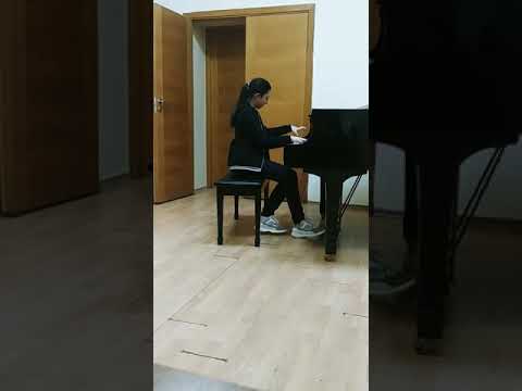Nuray Aliyeva - R.Schumann - Des Abends Aufschwung