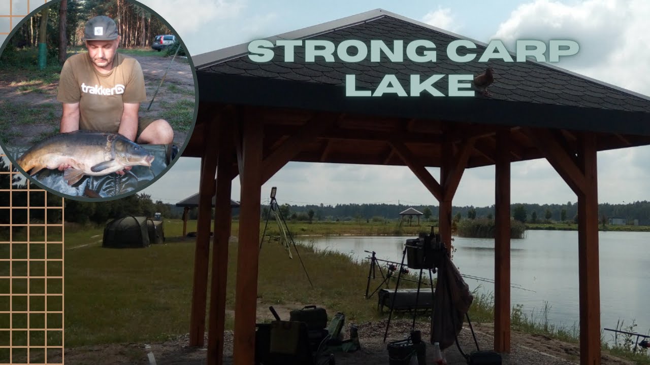 Łowisko Strong Carp Lake - stanowiska - YouTube