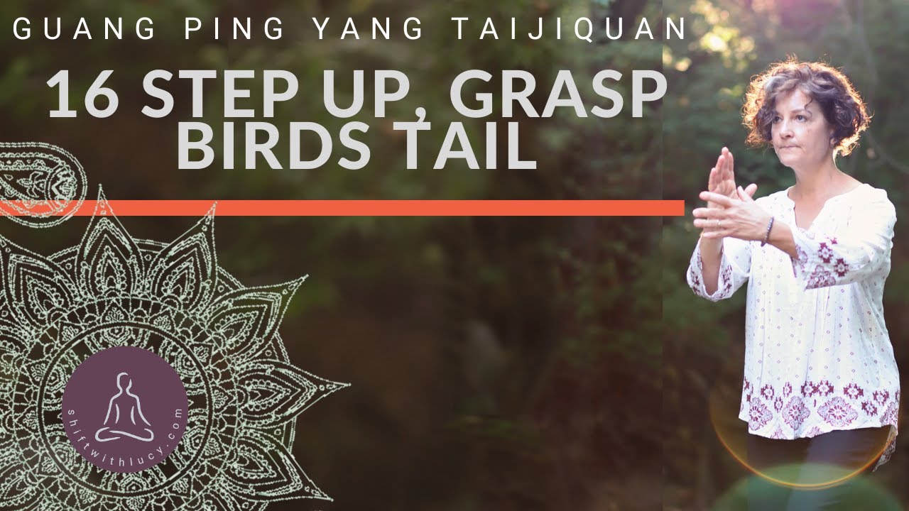 Movement 16 Guang Ping Yang Taijiquan: Turn Body, Step Up, Grasp Bird's ...