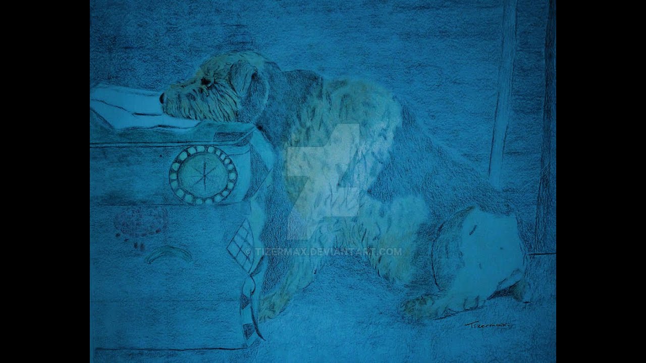 Art, music, hedgehog, robin, magpie, rook - YouTube