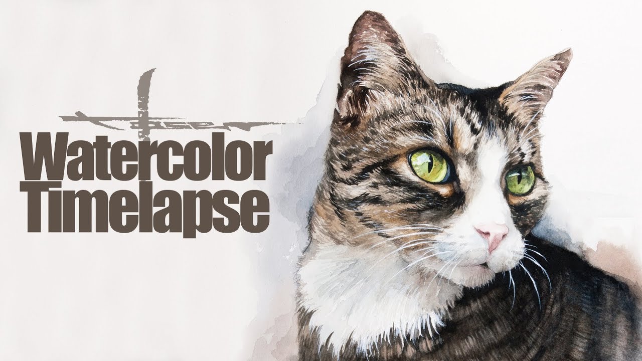 Watercolor [Timelapse] by Max Moser - Cat Portrait - YouTube