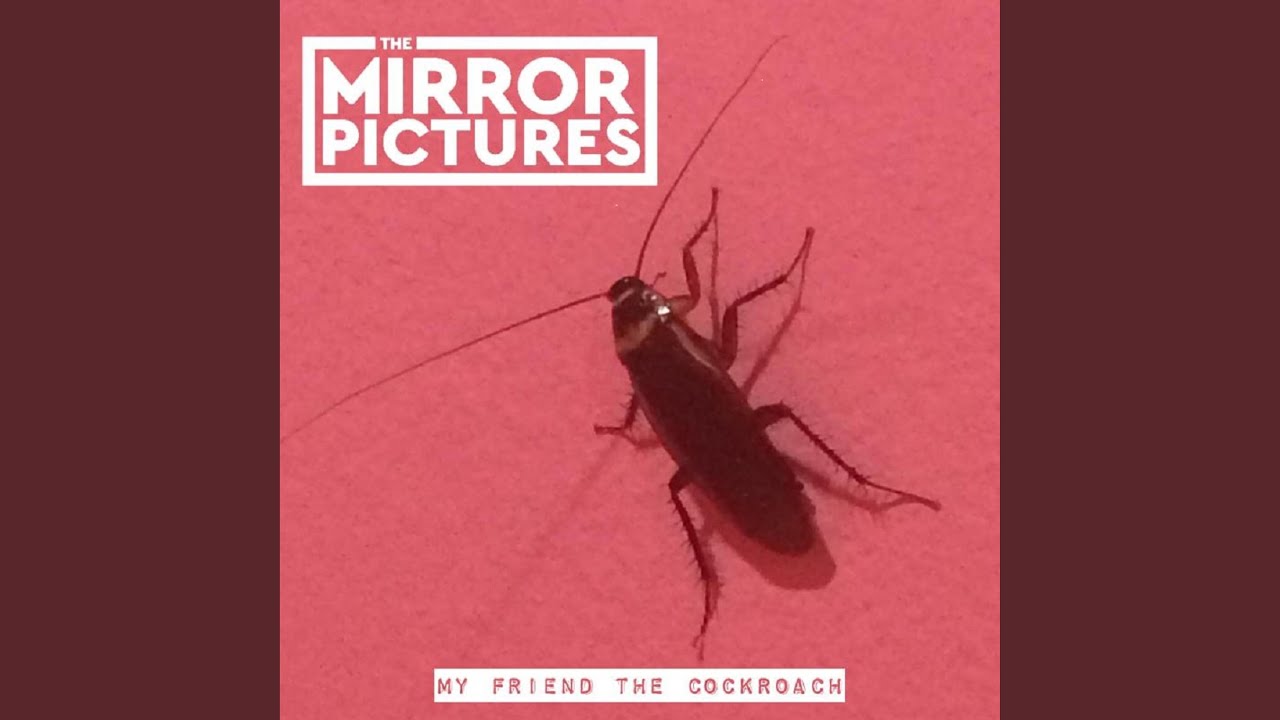 My Friend The Cockroach - YouTube