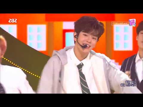 Stray Kids (스트레이 키즈) \