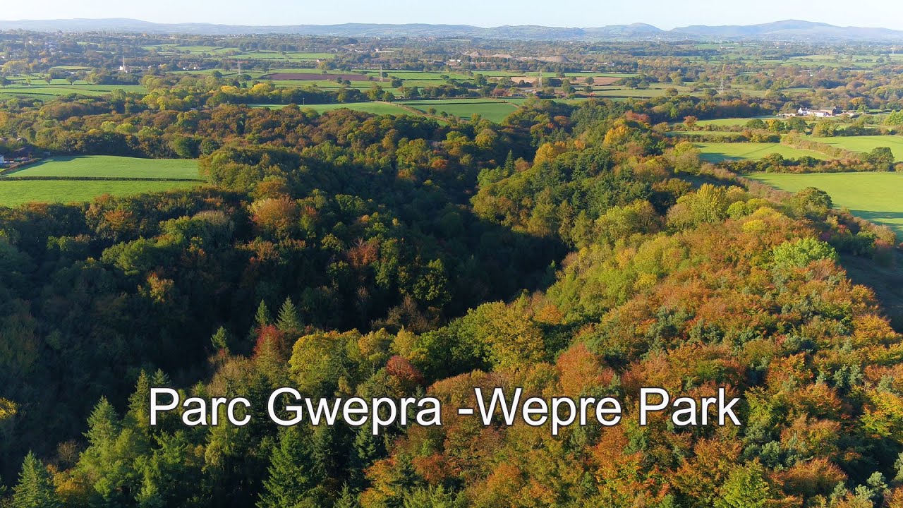 Wepre Park - YouTube