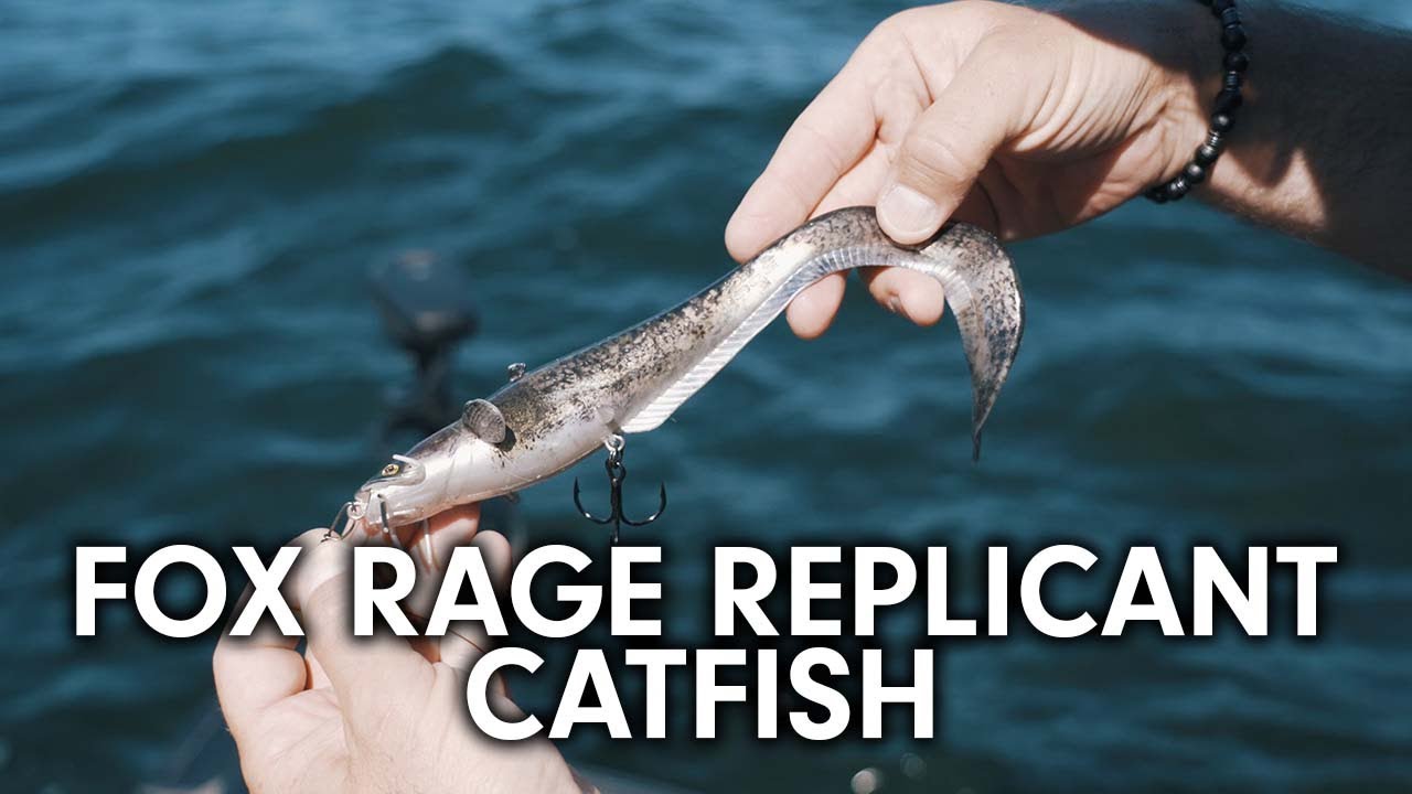 FOX RAGE REPLICANT CATFISH - YouTube