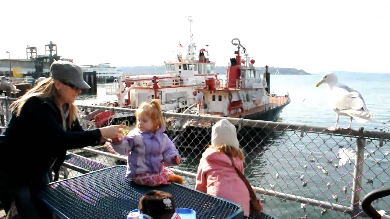 Feeding Seagulls @ Ivars - YouTube