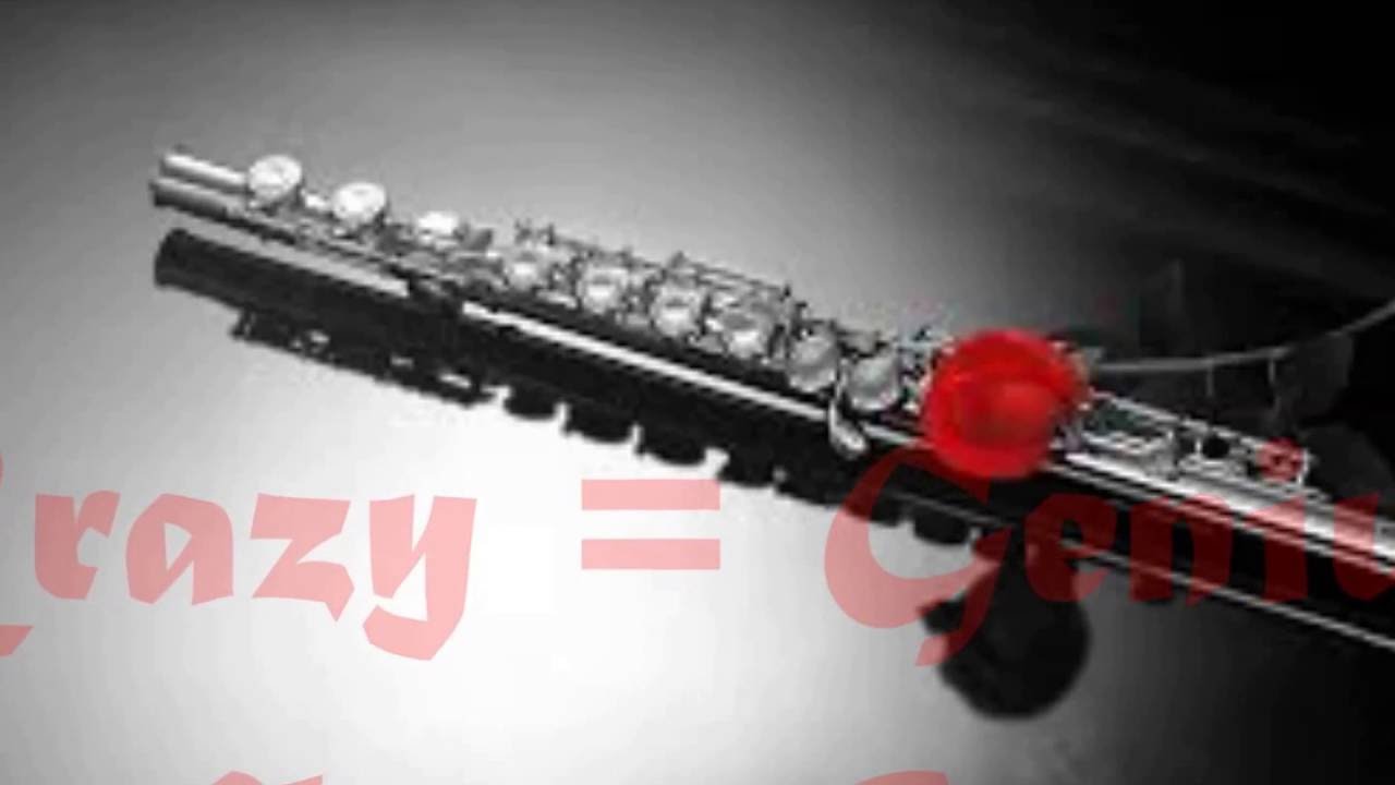Crazy = Genius | Panic! At The Disco - [Flute Cover] | NOTES - YouTube
