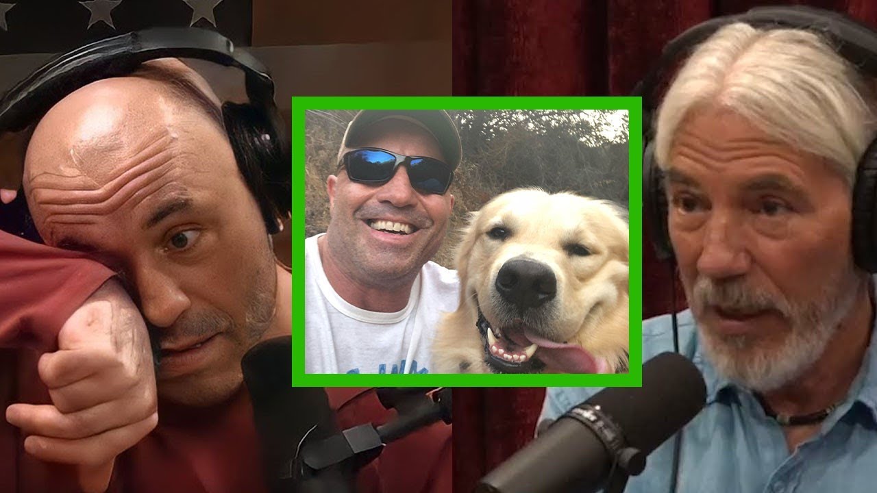 Joe Rogan Crying: Emotional about his dog dying, Coyote vs. His Beloved ...