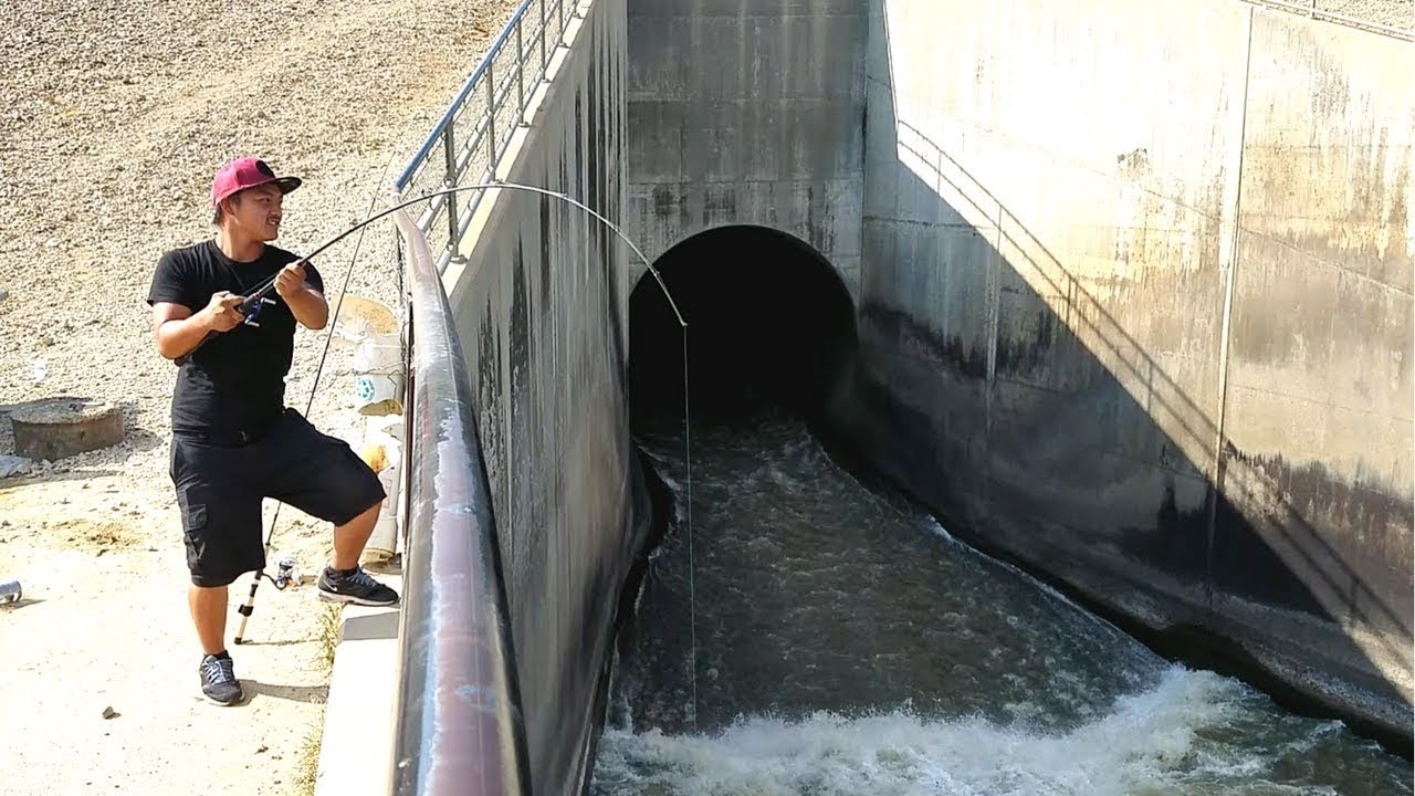 Striped Bass Fishing in Spillway. Part 2 EP 25 - YouTube