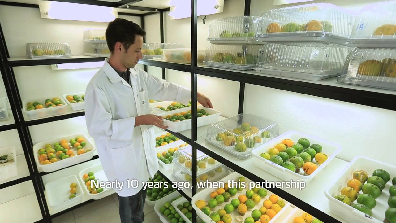 Innovation in agriculture: Knowledge grows - YouTube