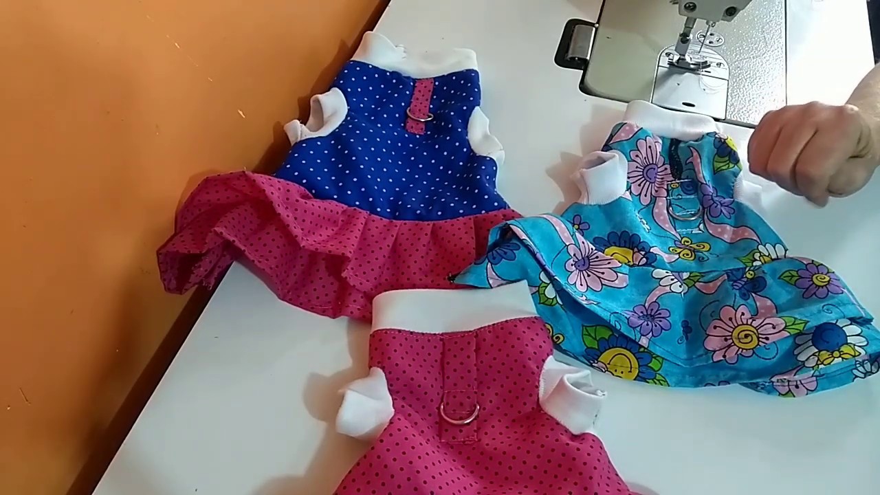 Vestido para perrita Pug facil de hacer - YouTube