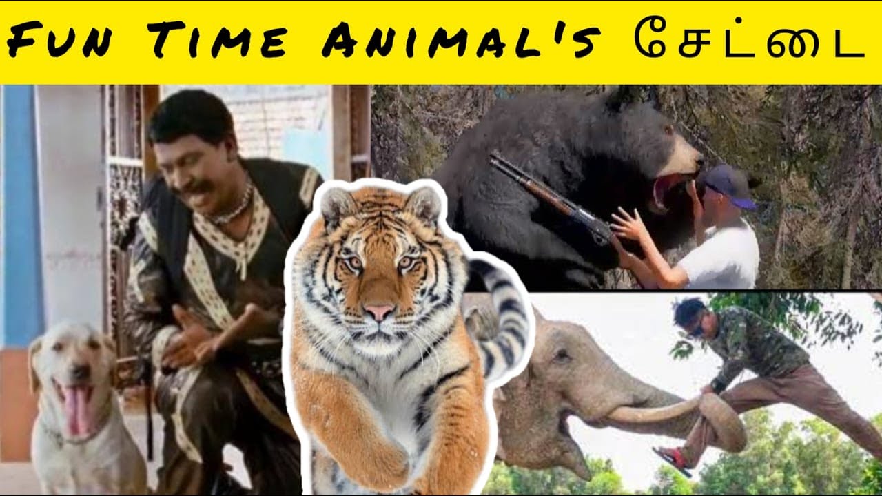 Fun Time - Animal's சேட்டை - YouTube