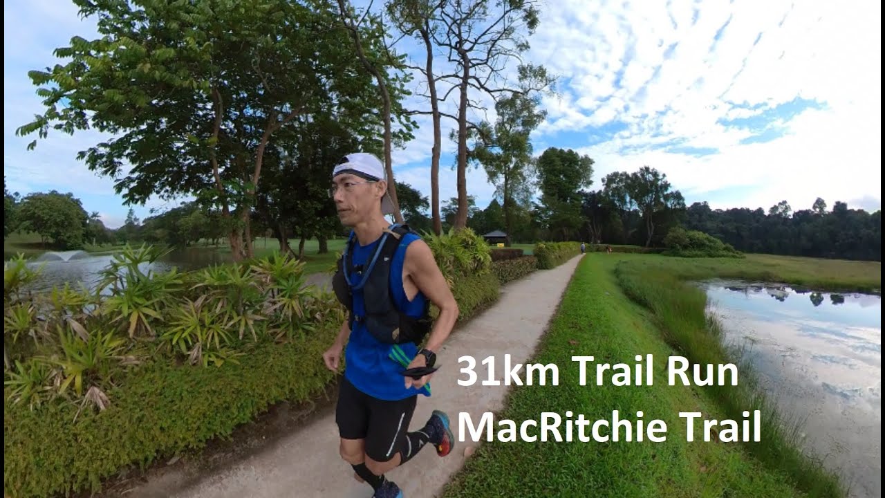 31km Trail Run | MacRitchie Trail - YouTube