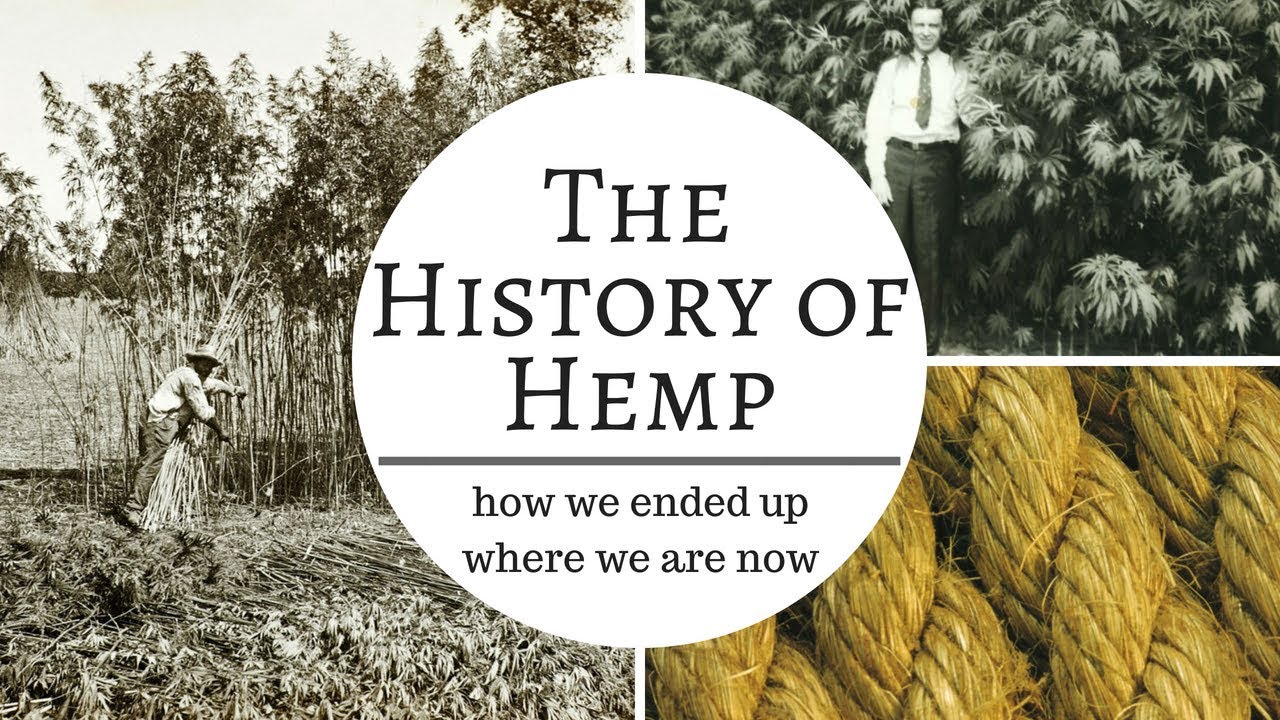 The History of Hemp (10,000 years in 10 minutes) - YouTube