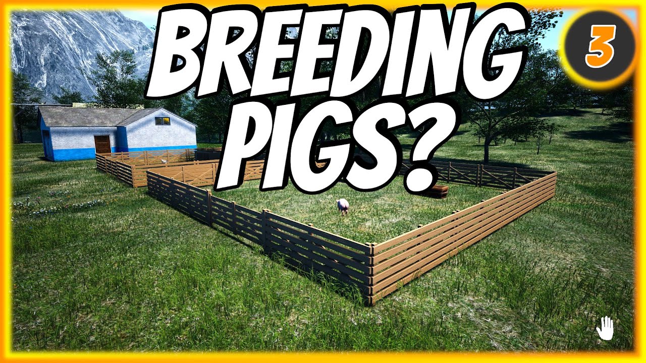 Hunting Predators And Buying Pigs | Ranch Simulator Ep 3 - YouTube