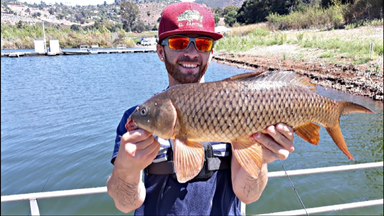 Fishing in toxic Water For Carp!-Bait and Wait! - YouTube