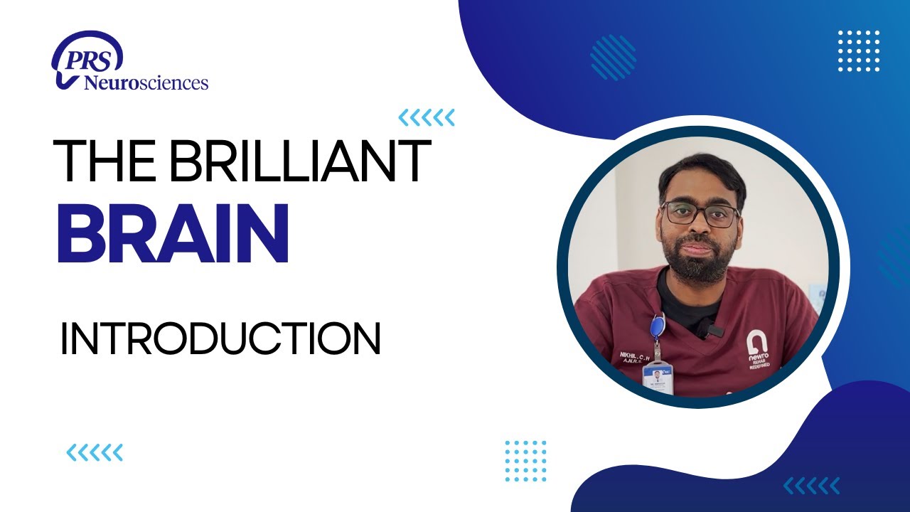 How does the brain work? | Introduction | The Brilliant Brain | Ep. 01 ...