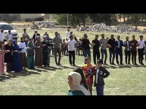 Diyadin kuşburnu köy düğünleri