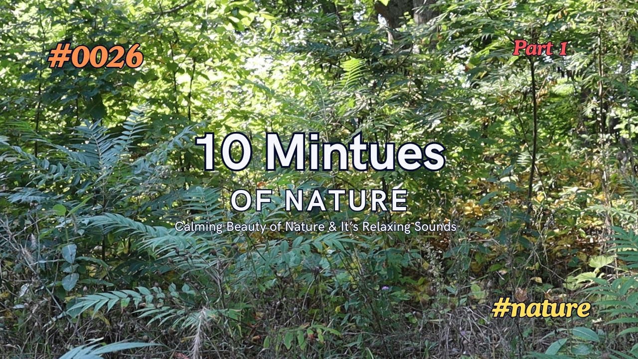 10 Minutes Of Nature 0026 - Green Forest of Plants (Calm & Relaxing ...