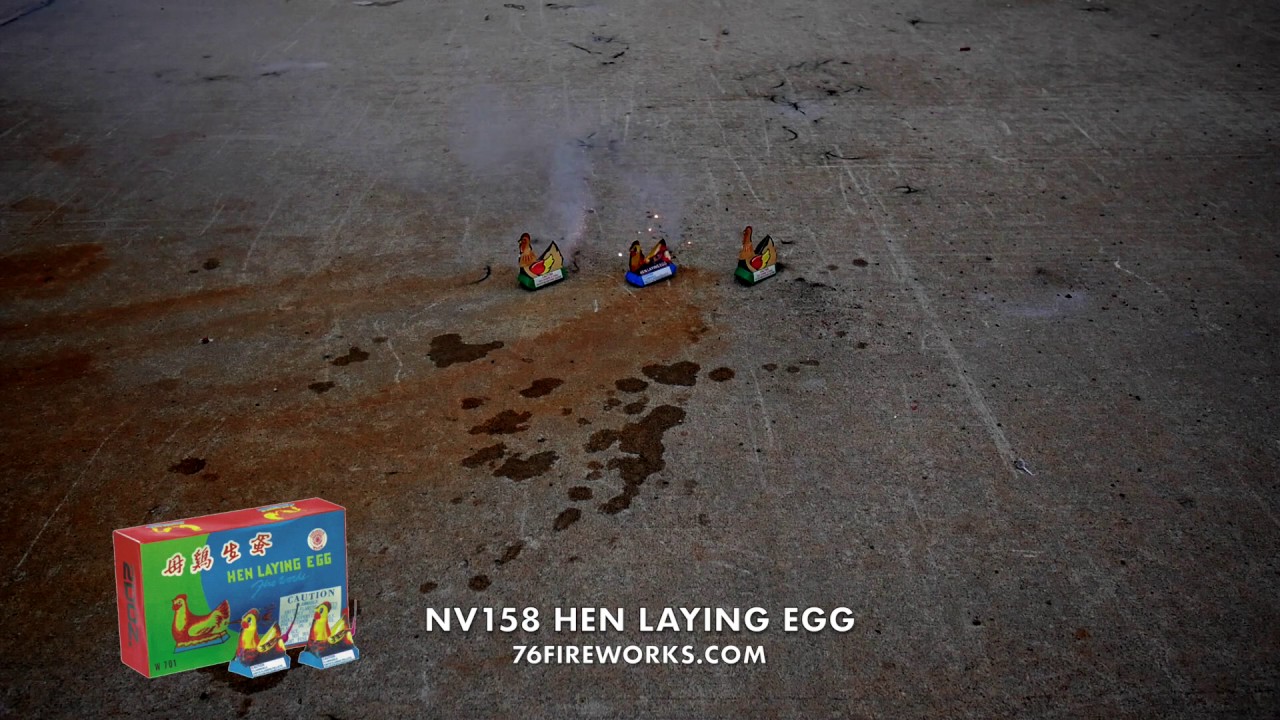 NV158 Hen Laying Egg Fireworks - YouTube