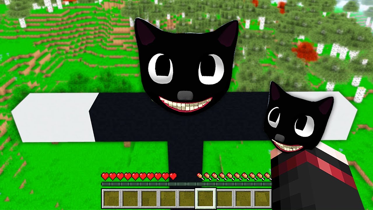 EN UZUN CARTOON CAT YAPARSAK NE OLUR? 😱 - Minecraft - YouTube