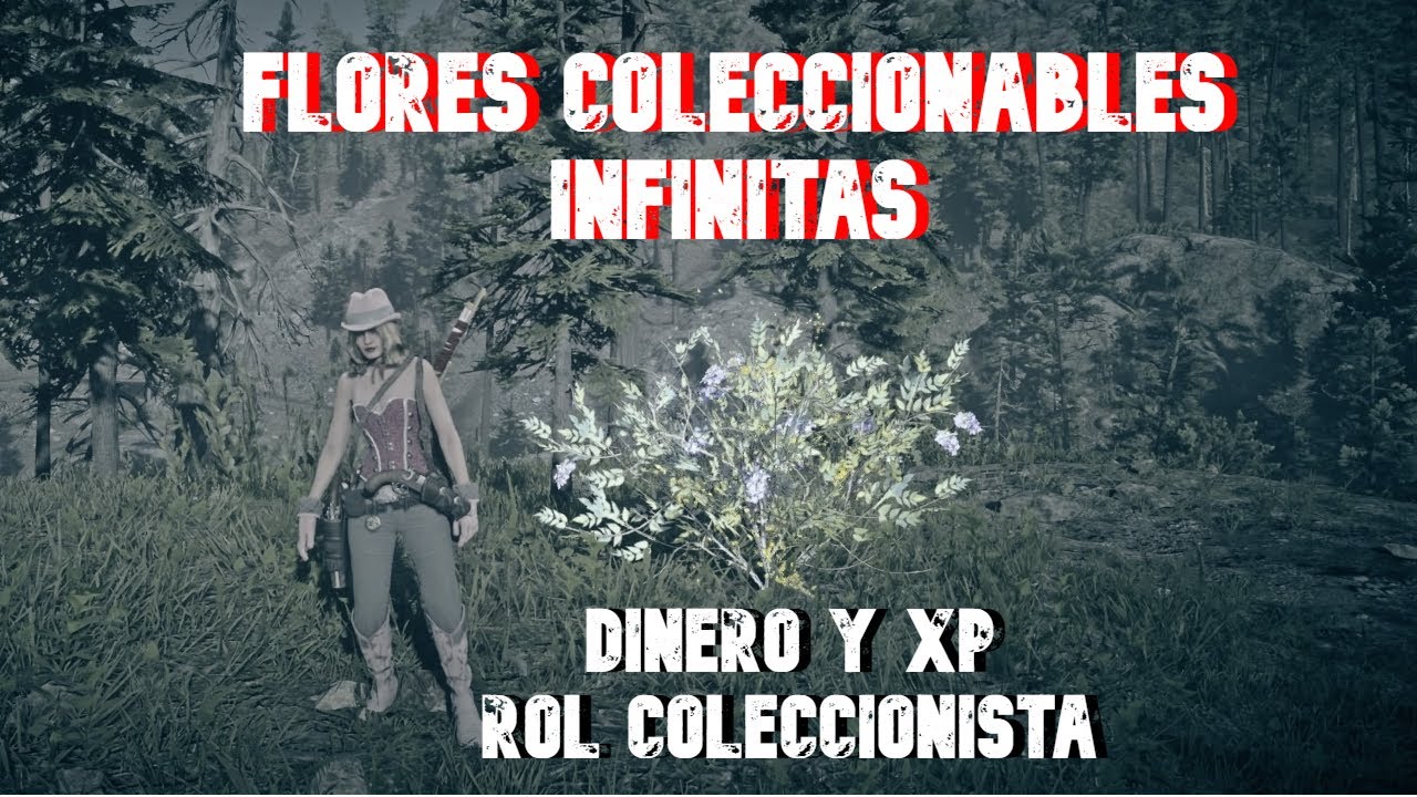 DINERO Y XP/ RECOGER FLORES DE COLECCIONISTA *INFINITAS*/RED DEAD ...