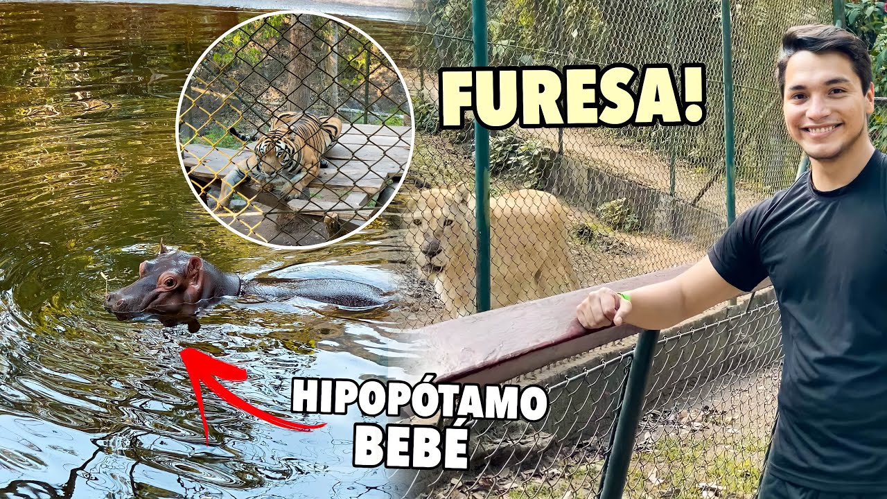 Visitamos el ZOOLÓGICO más EXCLUSIVO de EL SALVADOR 🐯🇸🇻 *FURESA* - YouTube