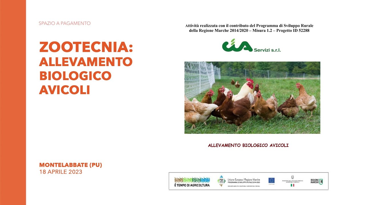 CIA - Zootecnia: allevamento biologico avicoli - YouTube