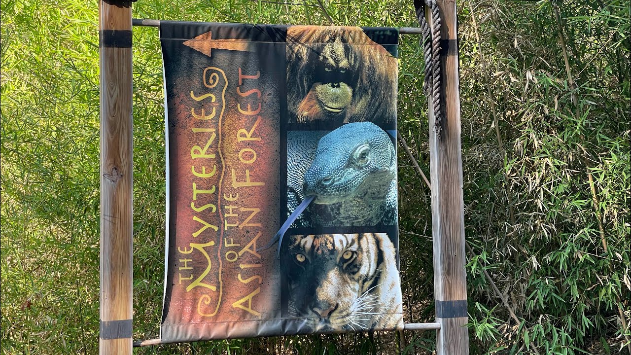 The Asian Forest Exhibit at Cameron Park Zoo Walkthrough - YouTube