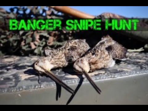 Banger Snipe Hunt In Florida - YouTube
