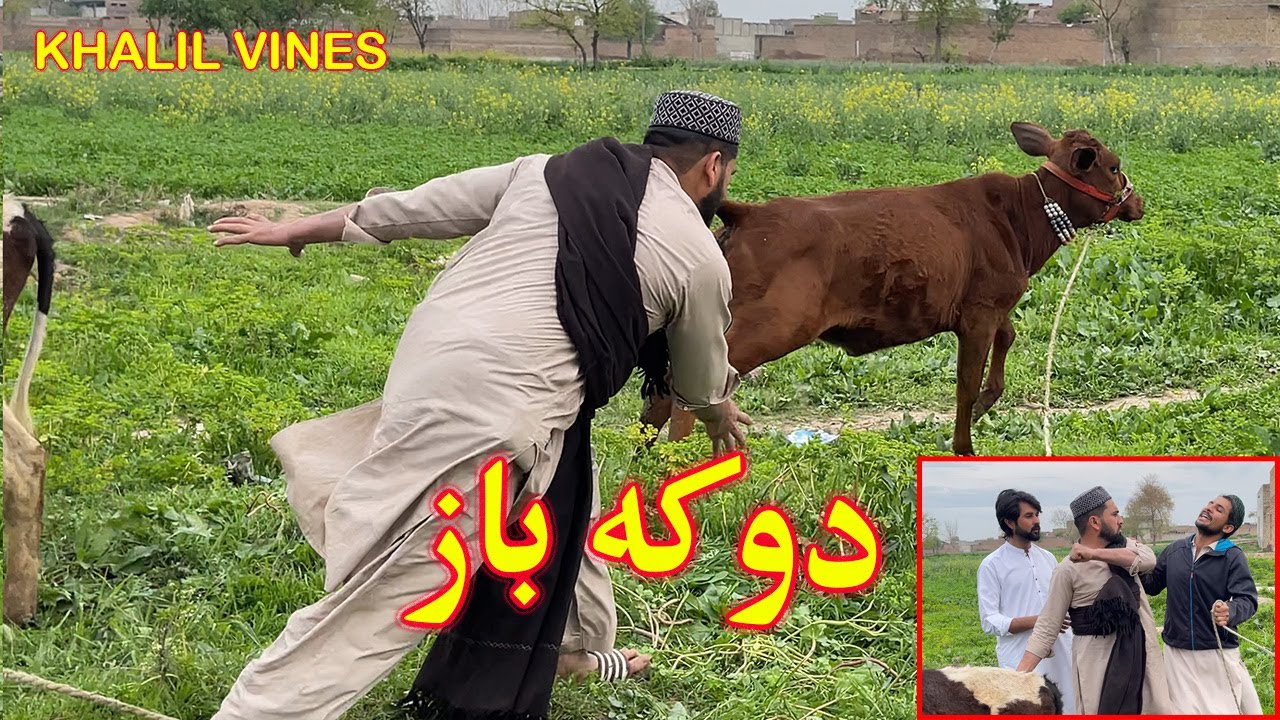 Dhoka Baz | Pashto funny videos | pashto comedy drama | KHALIL VINES ...