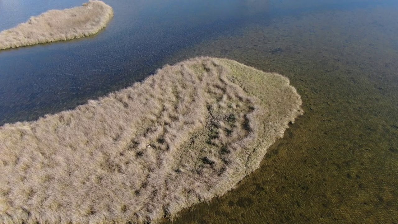 Stump Sound - YouTube