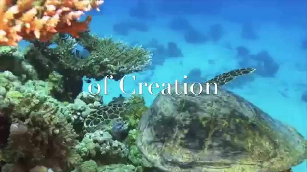 Oriel Sea Salt The Wonder and Power of The Sea - YouTube