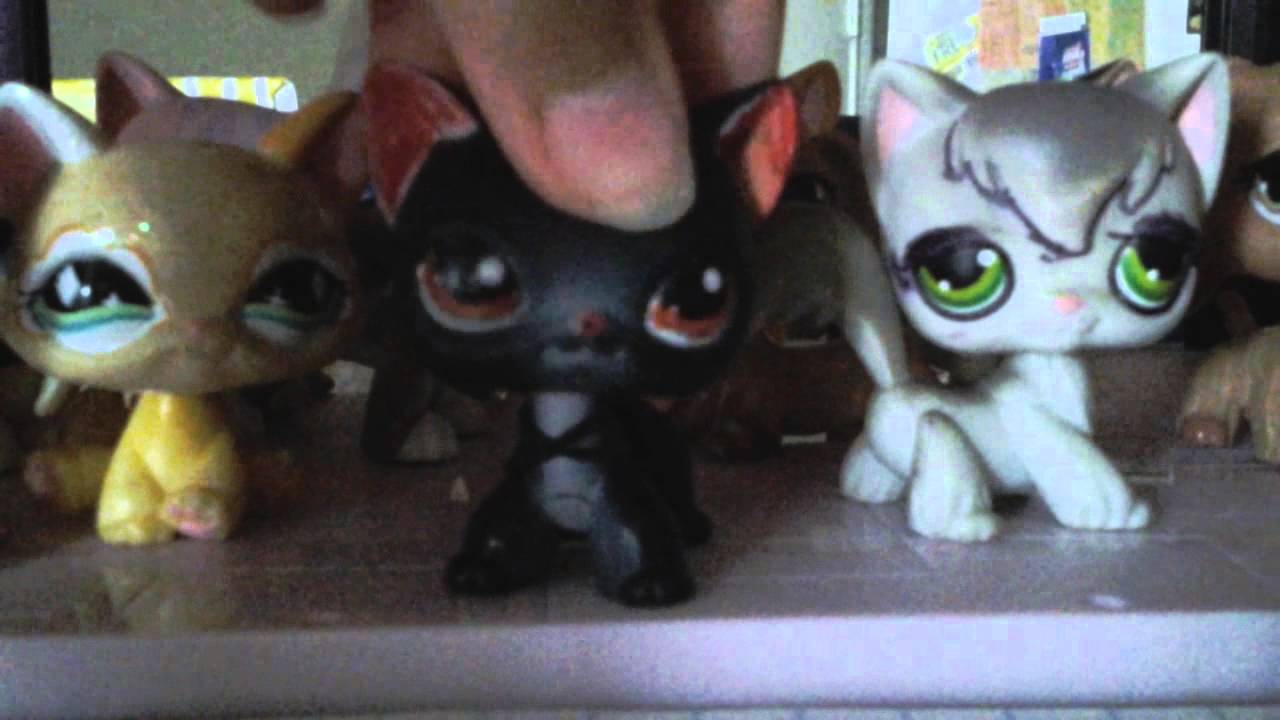 Nick name my lps channel and I'll think about it - YouTube