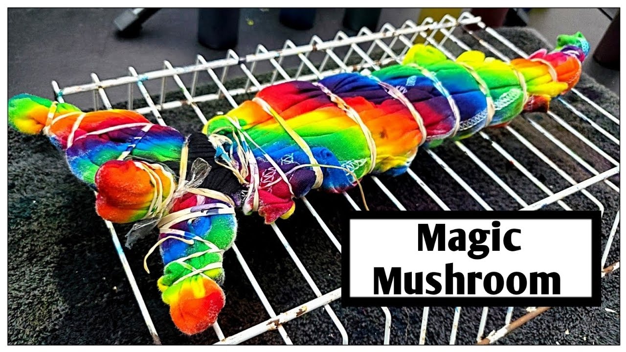Making a Magic Mushroom Tie Dye! Ultra Vibrant! (full video) - YouTube