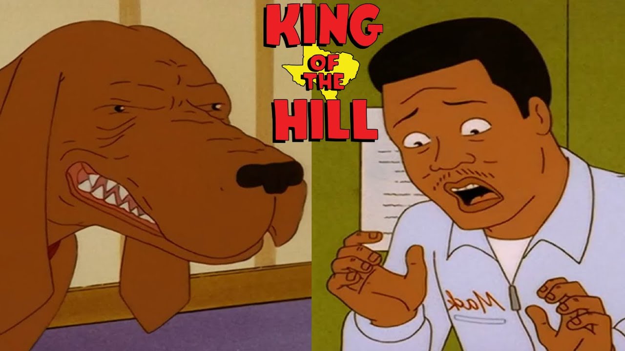 Ladybird RACIST? | King of the Hill - YouTube