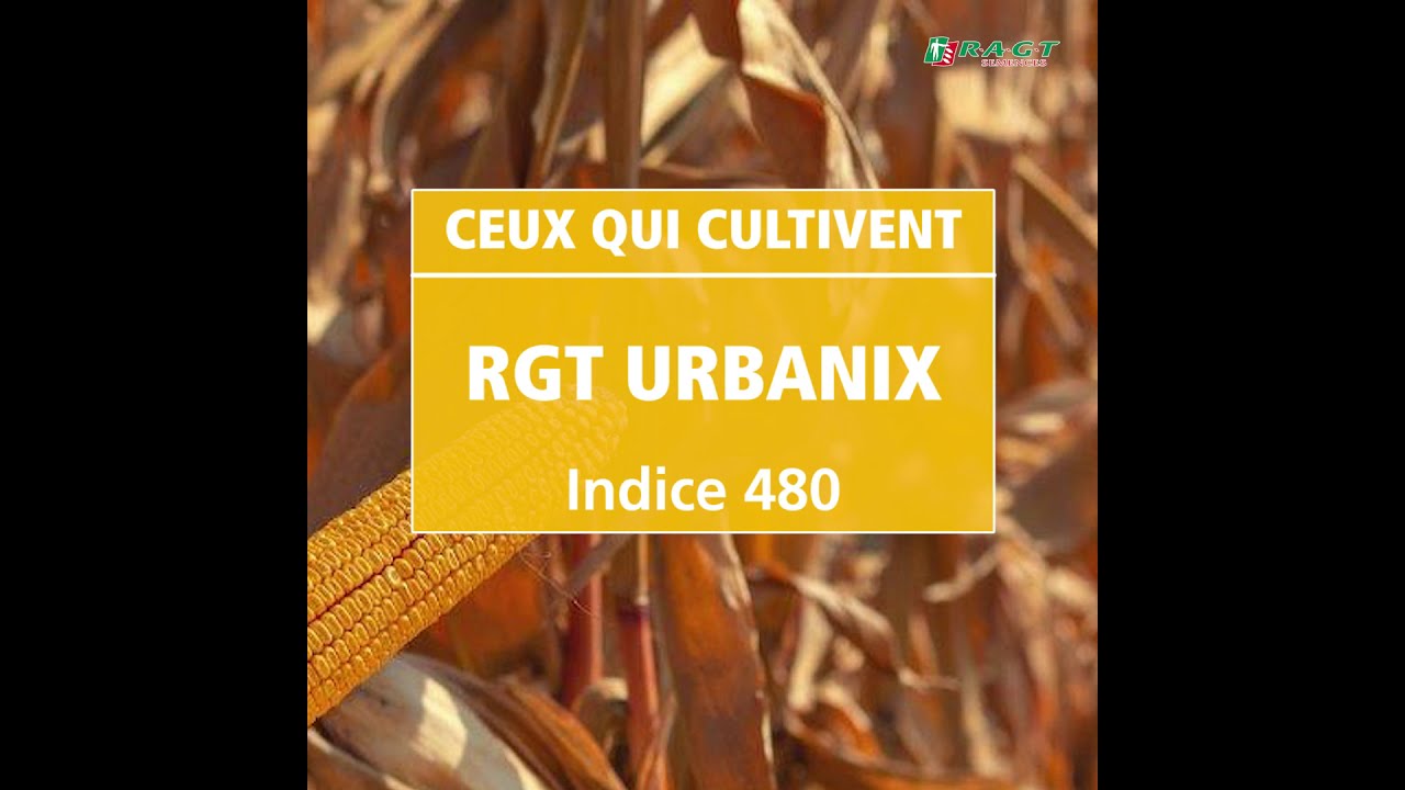 RAGT Semences - le maïs RGT URBANIX - YouTube