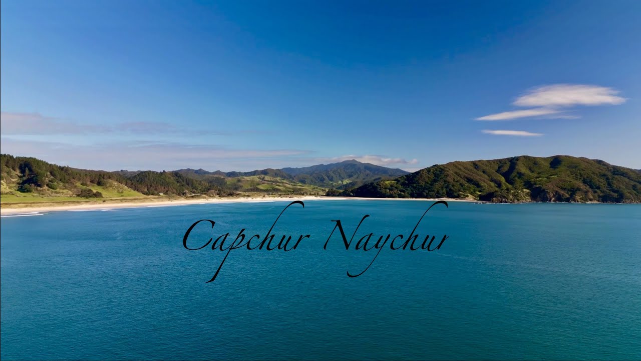 Snapper fishing off the rocks 🪨 Nz and how to fillet - YouTube