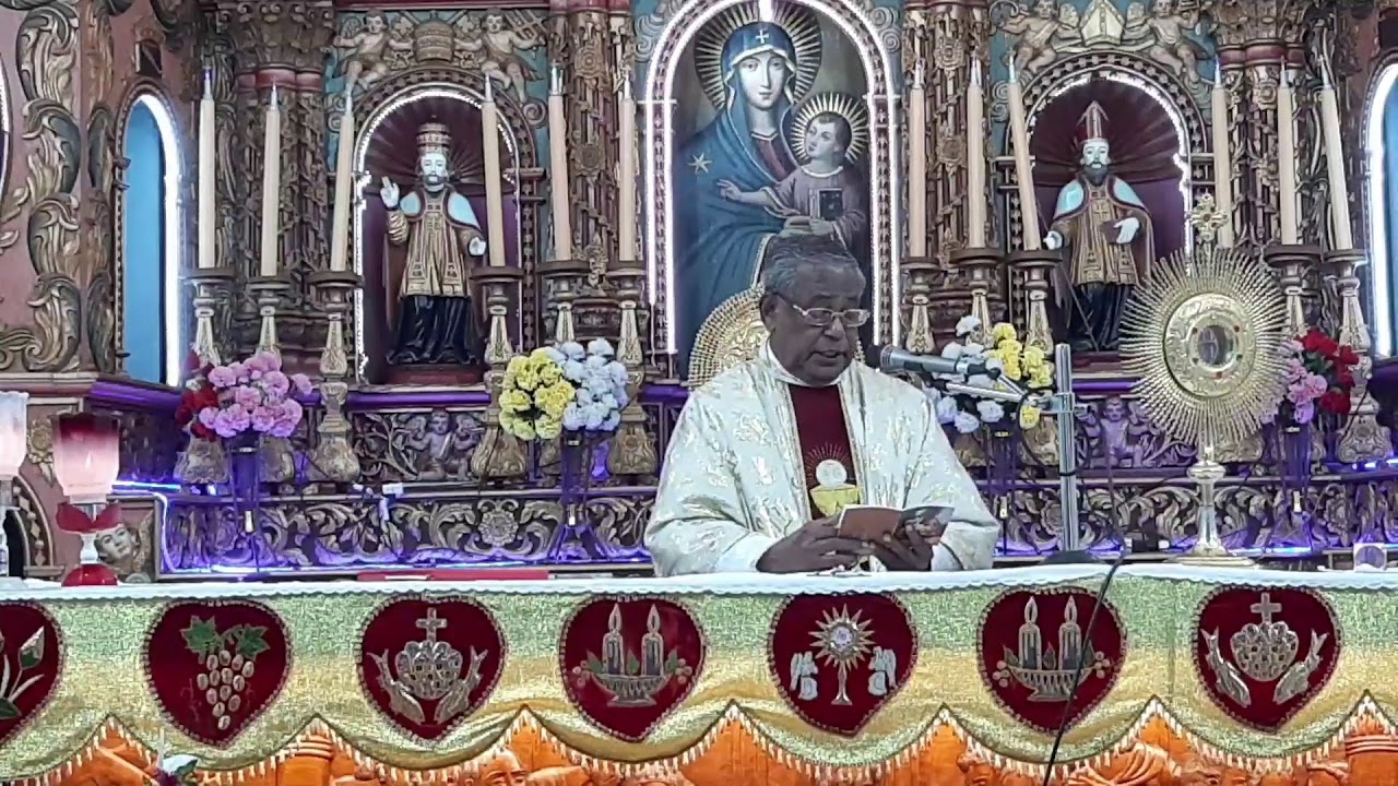 Holy Mass | Malayalam | Syro Malabar Rite | October 14 I Holy Qurbana ...