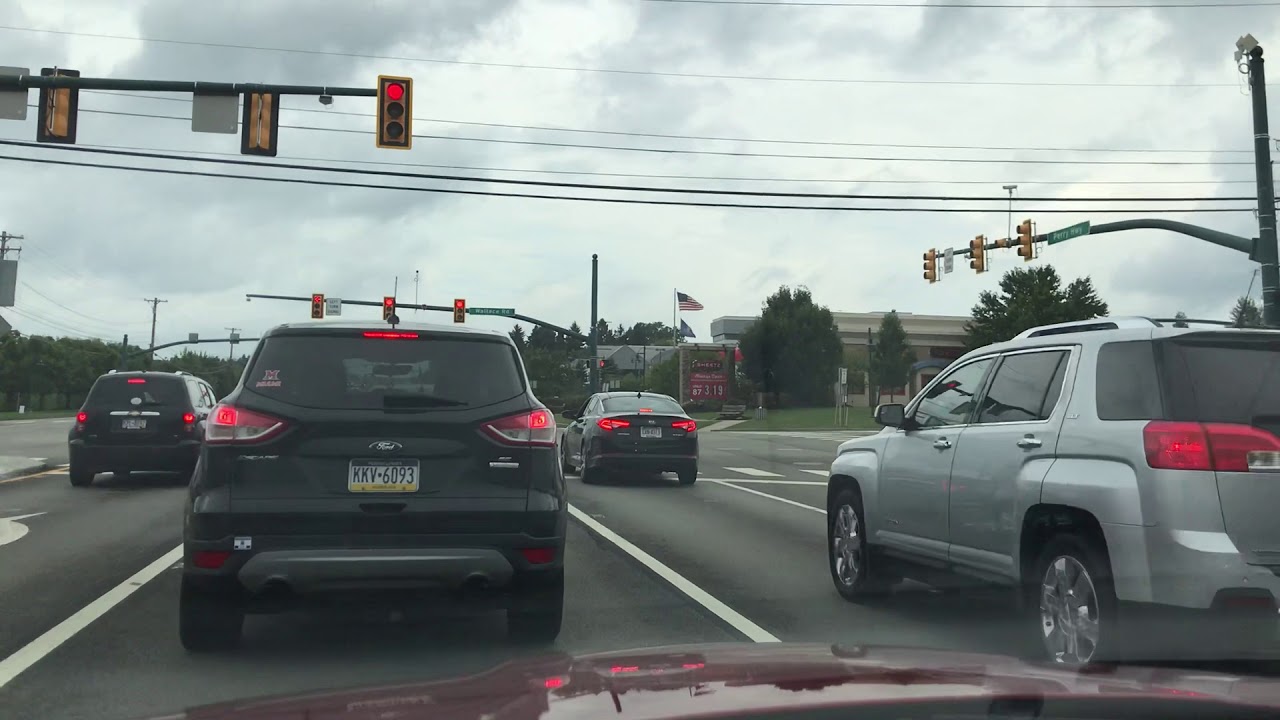GEESE POLICE THE LIFE SPARING, GEESE FRIENDLY WAY TO MOVE FLOCKS FROM ...