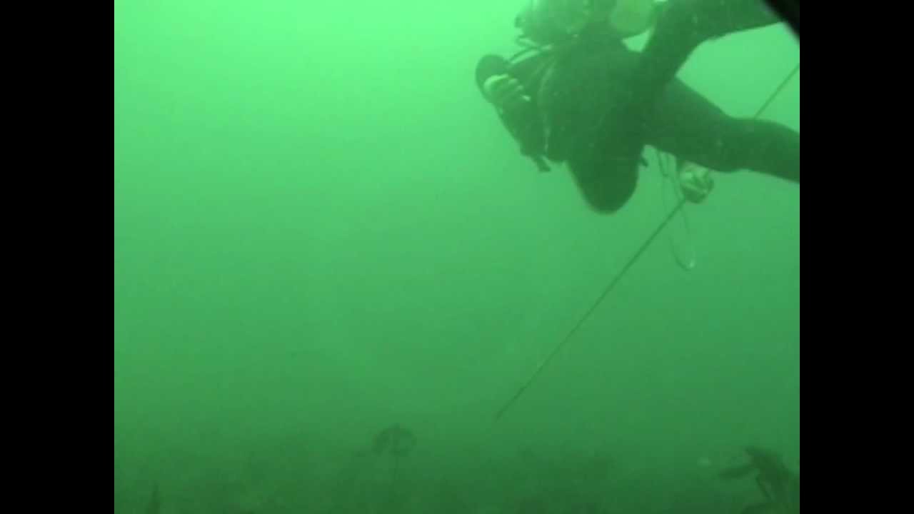 Halibut SpearFishing with a Polespear - YouTube