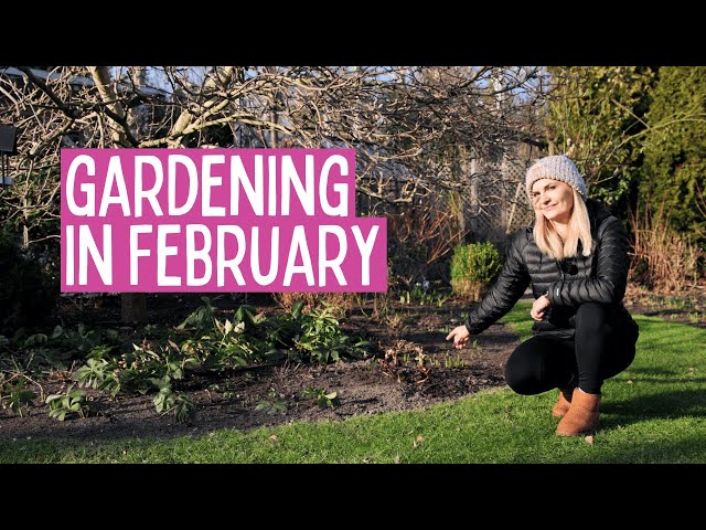 What To Do In The Garden In February What Should You